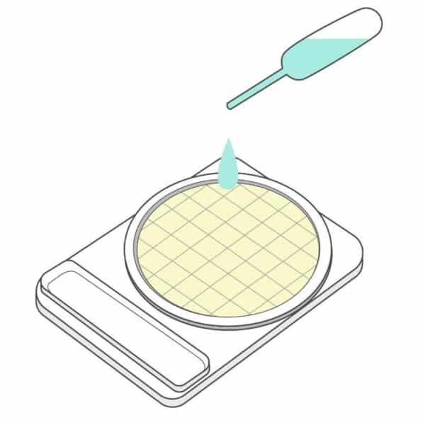 Hướng dẫn thao tác đĩa Bacillus cereus | Đĩa Compact Dry